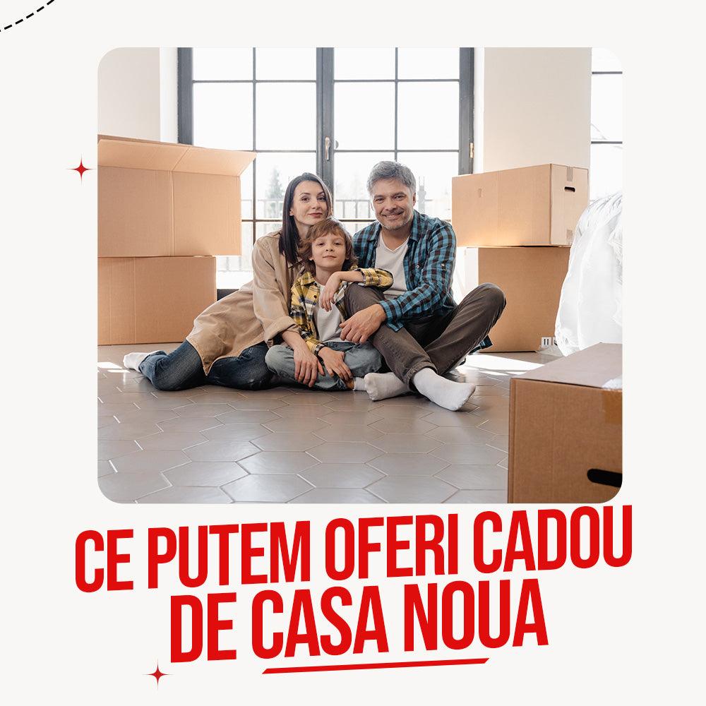 Ce putem oferi cadou de casa noua? – TECHNOMAX